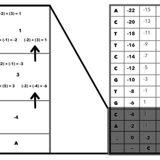 Image result for Global Sequence Alignment Examples