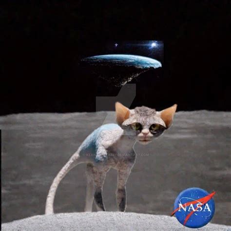 Image result for Alien Earth Cat