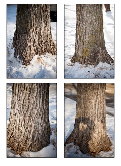 Image result for Texture Making