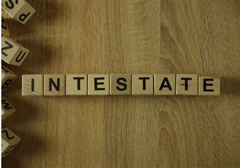 Image result for Inteste