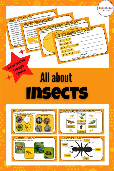 Image result for Insects Lessons