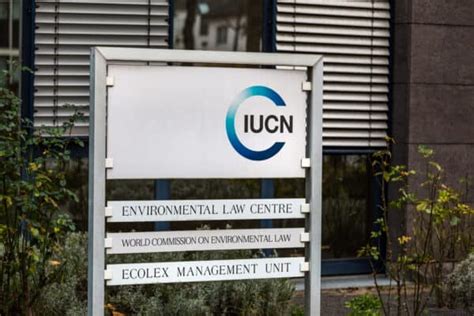 Image result for ASP Insect