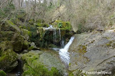 Image result for Explicacion Del Flumejava