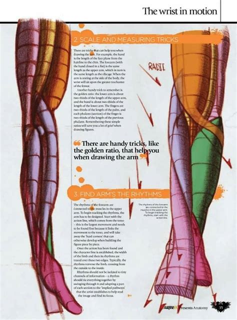 Image result for Arm Drawing Tutorial