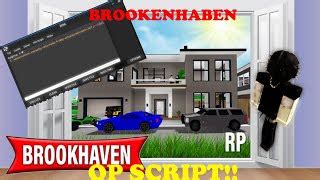 Image result for Brookhaven Exploit Script
