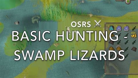 Image result for How to Catch Swamp Lizards OSRS