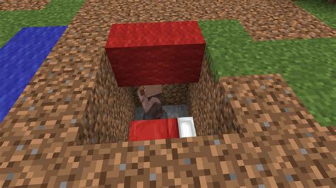 Image result for Villager Raid Farm Java