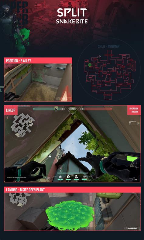 Image result for Split Viper Tips