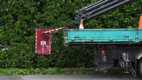 Image result for Engine Lift On a Tree