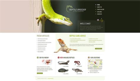 Image result for Creating Reptile with HTML and CSS