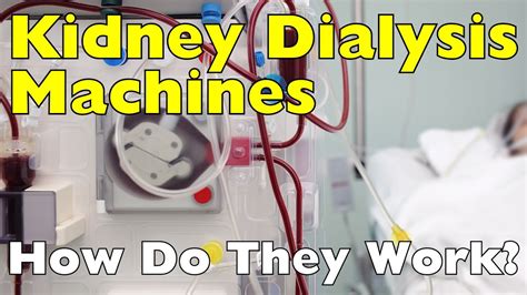 Image result for How Does a Dialysis Machine Work