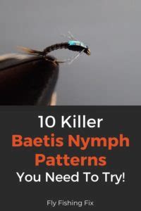 Image result for Fall Nymph Patterns