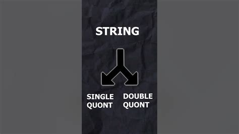 Image result for Code with Harry Python 100 Days YouTube