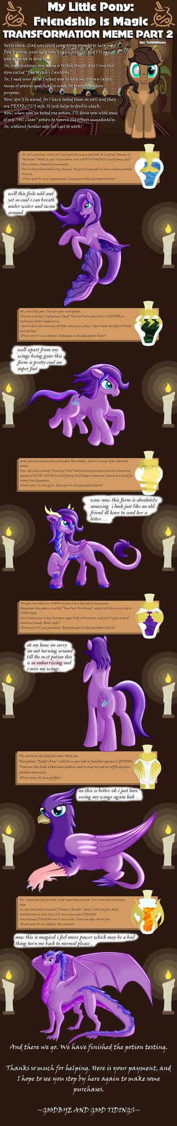 Image result for MLP Transformation