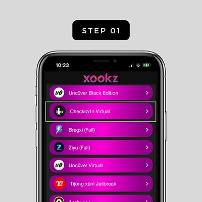 Image result for Checkra1n iOS Version