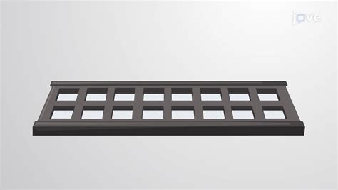 Image result for Microarray Technique