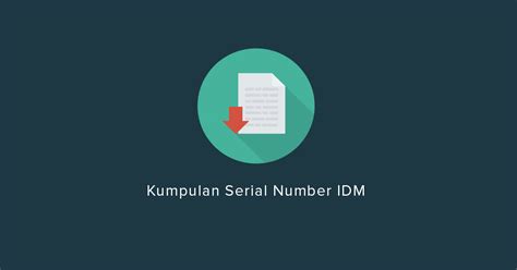 Image result for Update IDM Serial Number