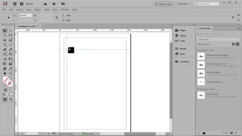 Image result for Adobe InDesign Overview