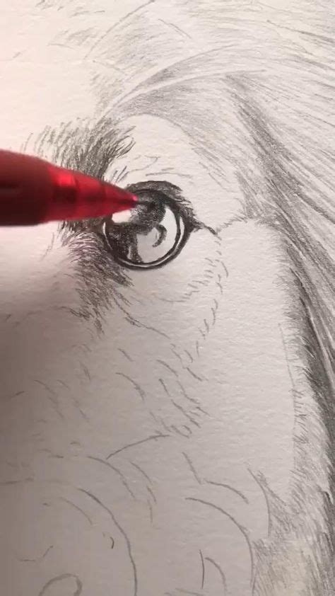 Image result for Fun Graphite Drawing