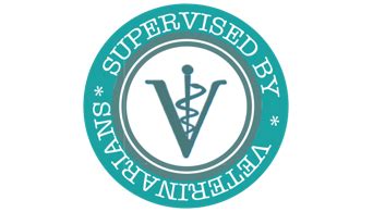 Image result for Vet Direct Direct Script