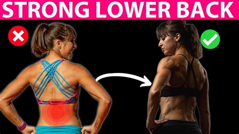 Image result for Strong Lower Back Muscles