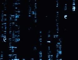 Image result for Gold Matrix Code GIF