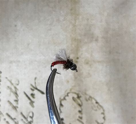Image result for Caddies Emerger Fly Pattern