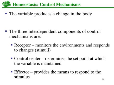 Image result for Control Systems Example Physiology