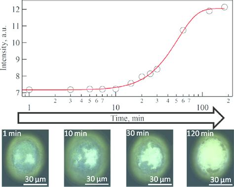 Image result for Crystallization Kinetics