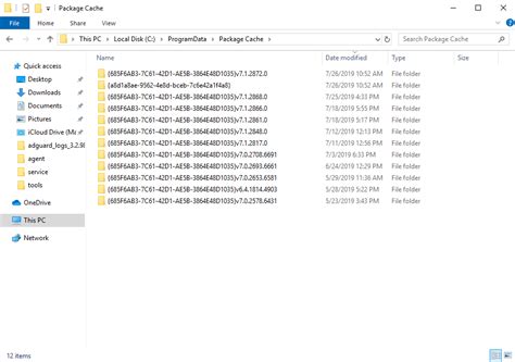 Image result for ProgramData Package Cache