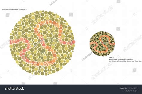 Image result for How to Perform Color Vision Test