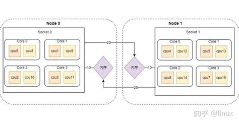 Image result for Numa Python