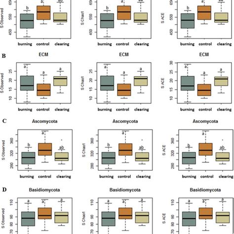 Image result for AronRa Systematic Classification System