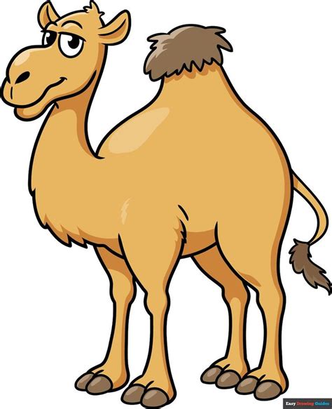 Image result for Camel Drawing Tutorial