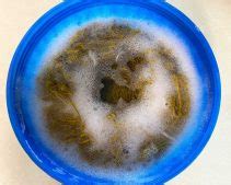 Image result for Reusing Knitting Yarn