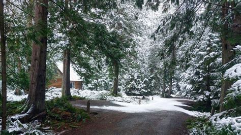 Image result for Salt Spring Island Travel guide