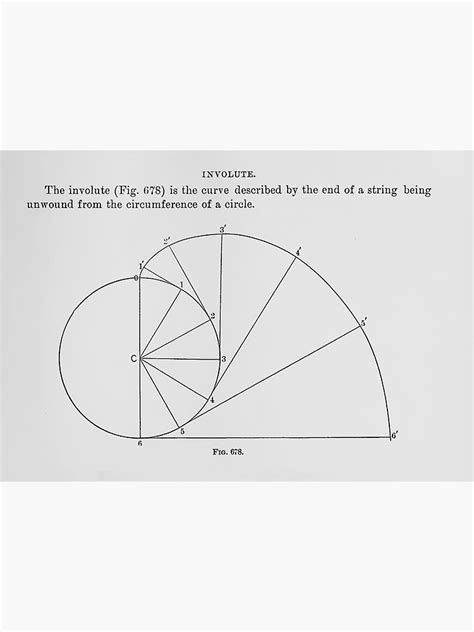Image result for Involute Drawing