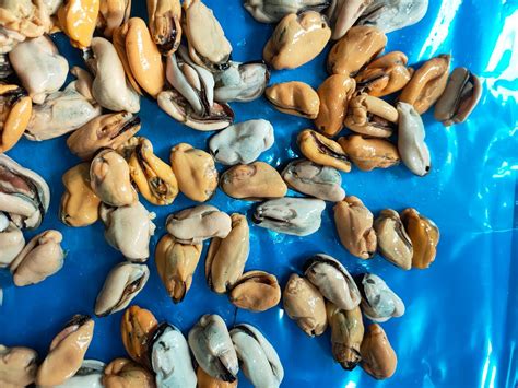 Image result for Cooked Shellfish