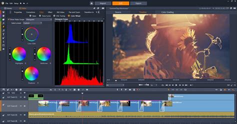 Image result for Pinnacle Studio Color Grading