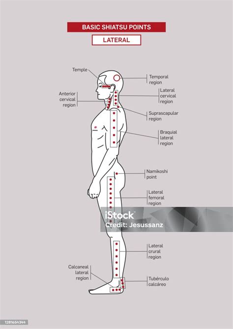 Image result for Basic Shiatsu