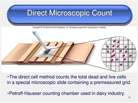 Image result for Direct Microscopic Count