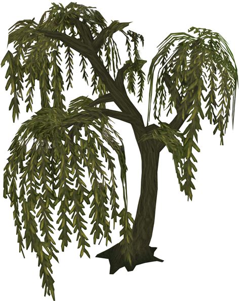 Image result for Willow Tree Rust