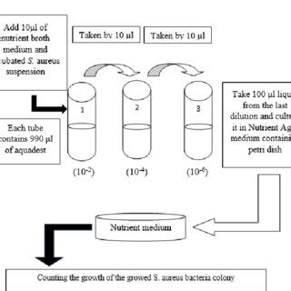 Image result for Total Plate Count Formula