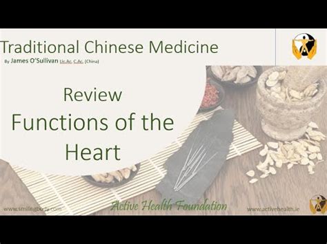 Image result for Heart Protector Channel TCM