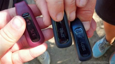 Image result for Fitbit One Software