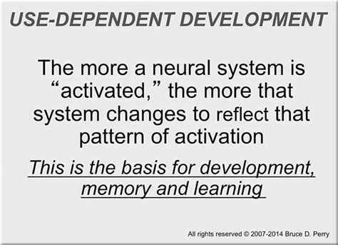 Image result for Bruce Perry Brain Development