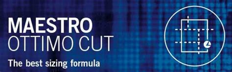 Image result for SCM Maestro Software