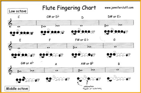Image result for Flute Notes for Beginners