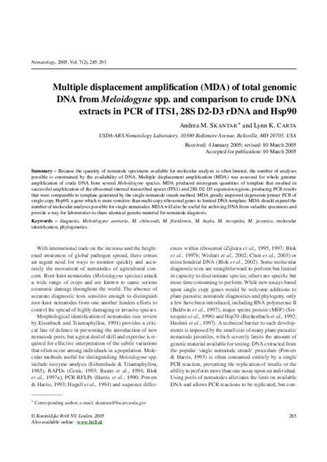 Image result for Multiple displacement amplification DNA Amplification Methods