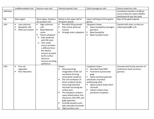 Image result for 2 Types of Bone Formation